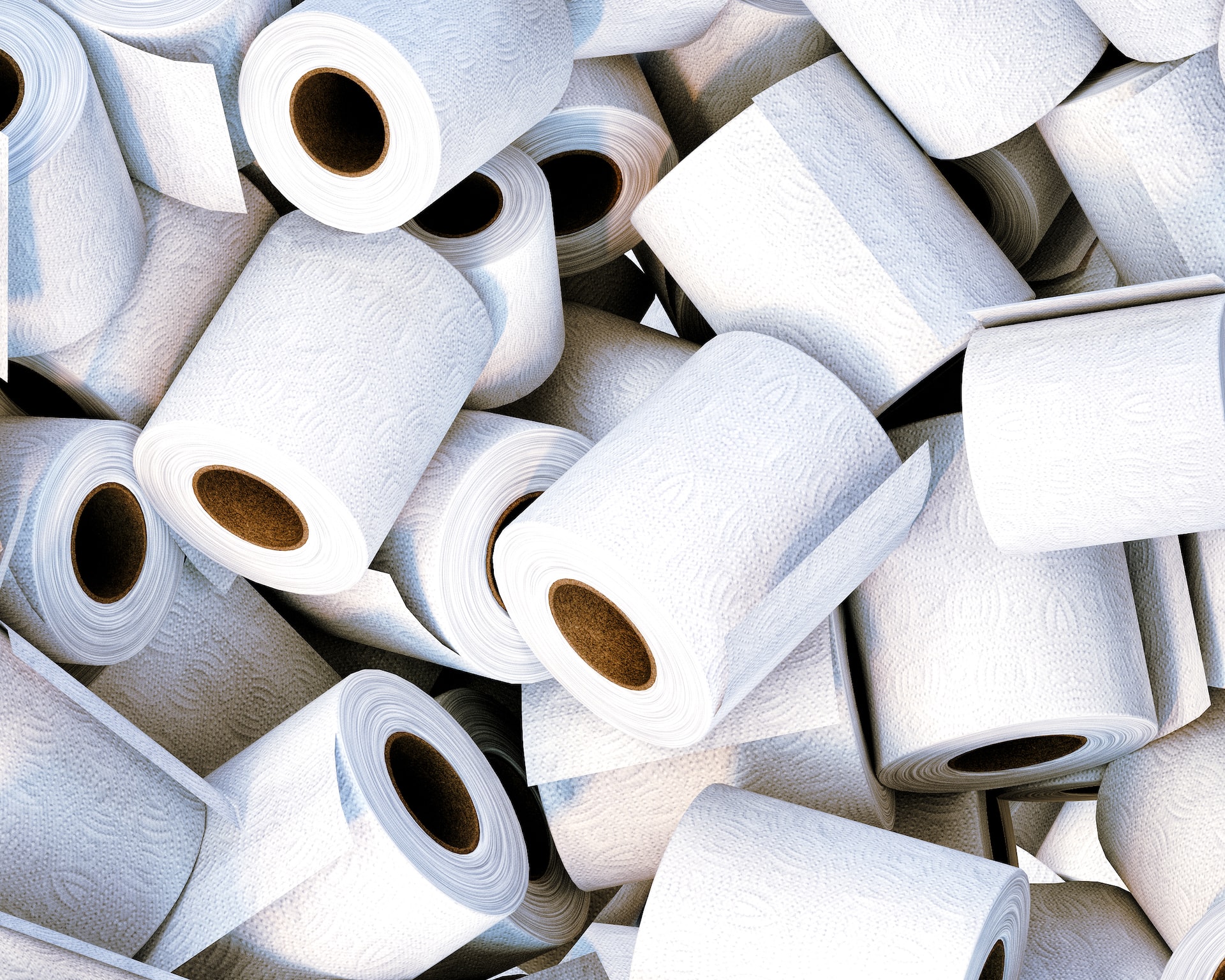 Dit is de positieve impact van bamboe wc papier - Inspirationblog.nl